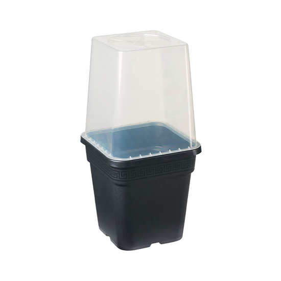 Propagator cover - Clear Propagation Lid for 11L pots | Equipment ...