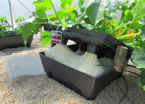 DWC OXYPOT 110L, Complete hydroponic system for 4 plants, 83x83xh38cm ...