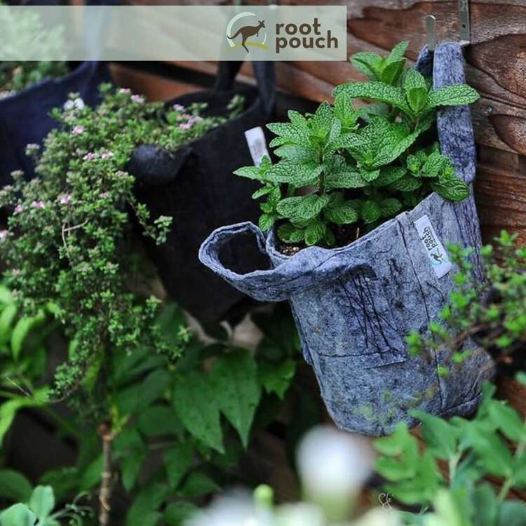 Growbag Root Pouch fabric pot 40x30cm 39L with handles grey 39 ...