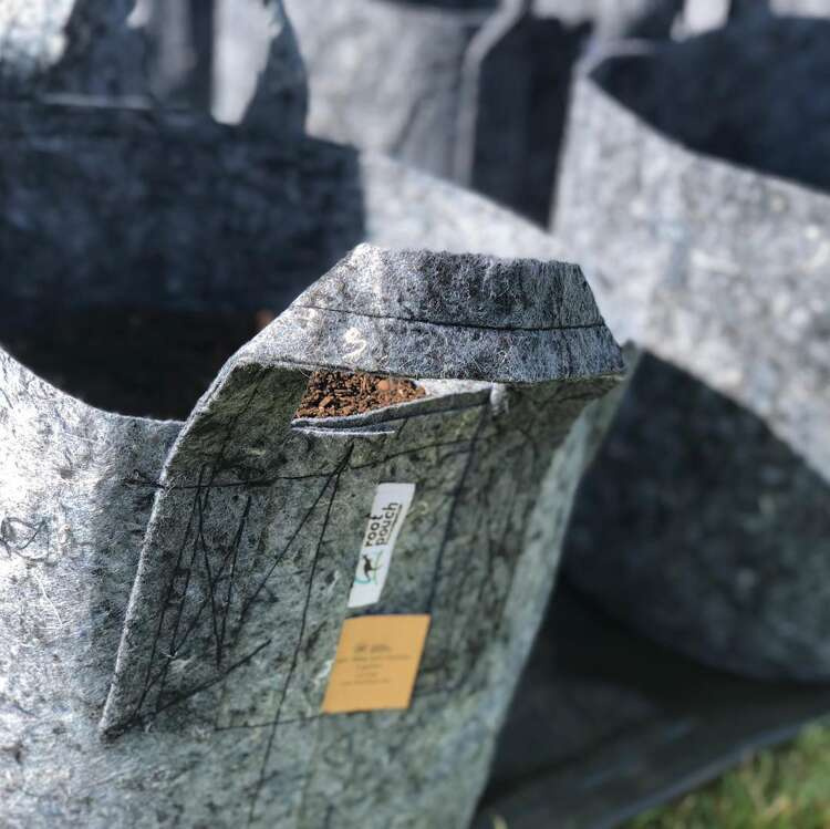 Growbag Root Pouch fabric pot 40x30cm 39L with handles grey 39 ...