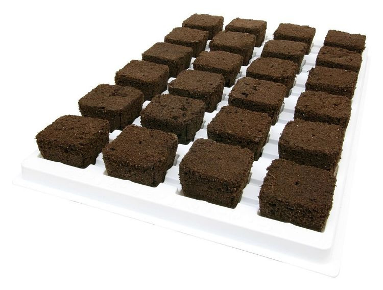 Growth Technology Root Riot 24 cubes tray - organic starter cubes for ...