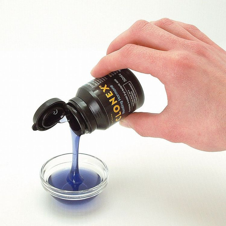 Growth Technology Root Riot 50 cubes - organic starter cubes for seeds ...