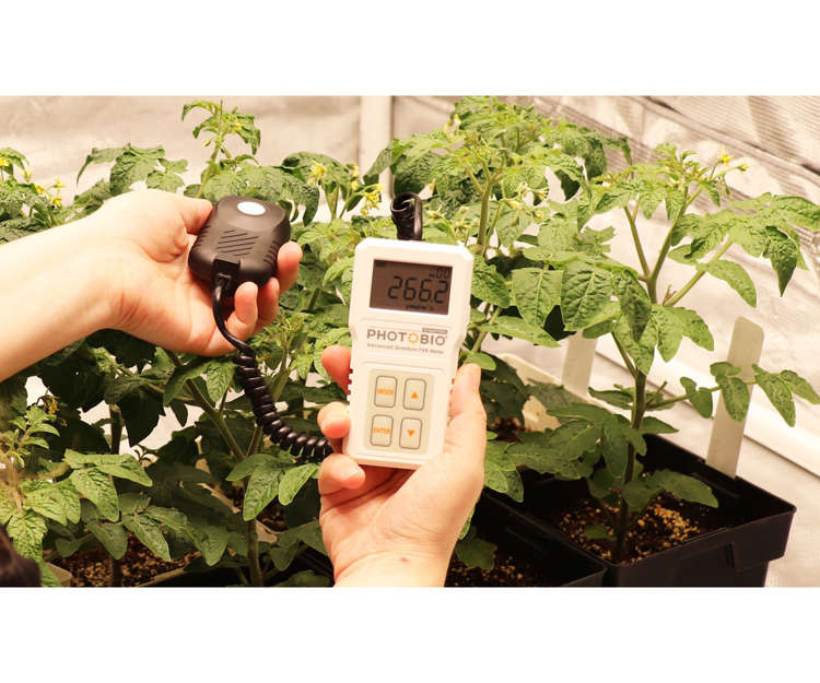 Phantom PHOTOBIO Advanced Quantum PAR Meter - photosynthesis light ...