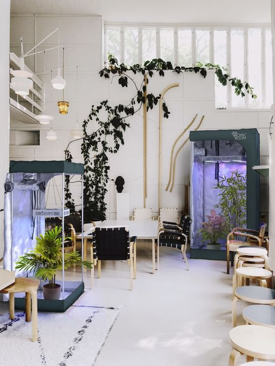 RoyalRoom® Classic C60 60x60x160cm cultivation tent 60x60 | Growboxes \ RoyalRoom \ RoyalRoom ...